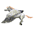 flying horse (in Animated GIFs)