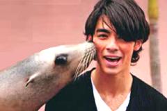 joe jonas (in Clipart)