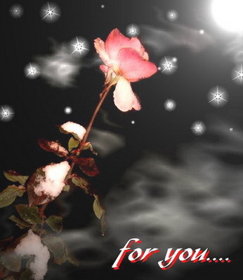 foryou (in Clipart)