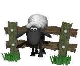 stuck sheep (in Animated GIFs)