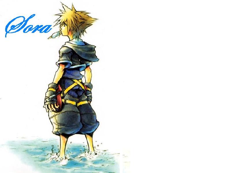 ~Sora~ (in Clipart)