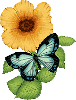 butterfly (in Animated GIFs)